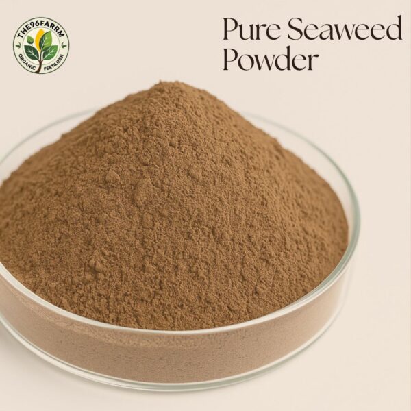 Seaweed Powder – SeaVita ( सिविटा ) -